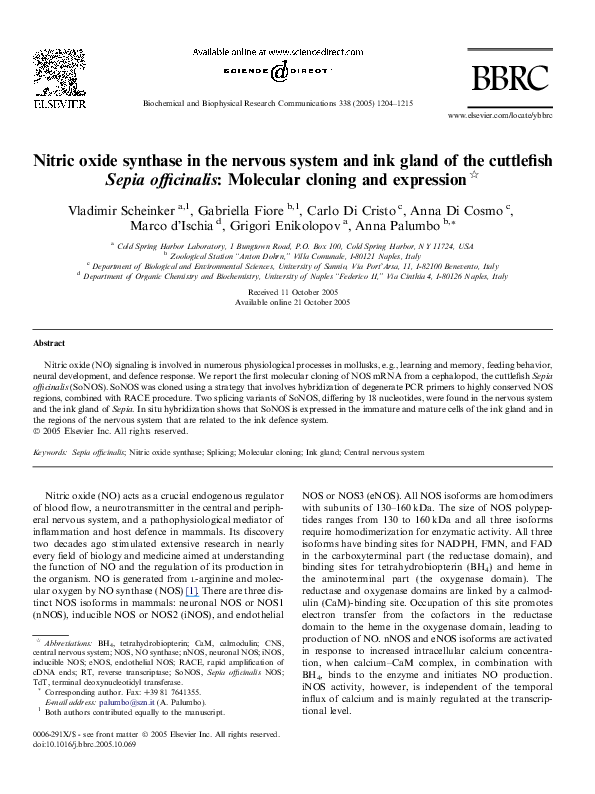 (PDF) Nitric oxide synthase in the nervous system and ink gland of the ...