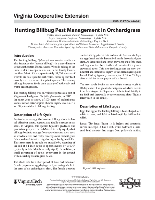 (PDF) Hunting Billbug Pest Management in Orchardgrass