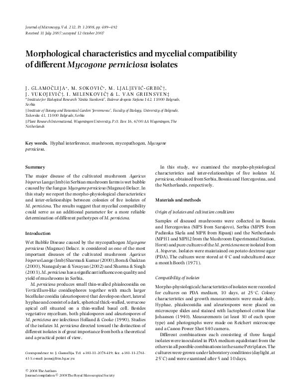 (PDF) Morphological characteristics and mycelial compatibilityof different Mycogone perniciosa ...
