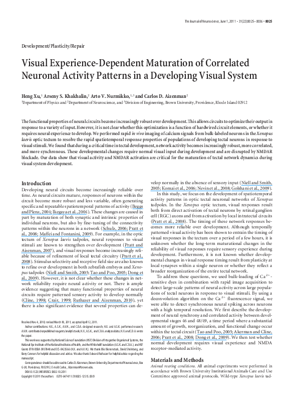 (PDF) Visual experience-dependent maturation of correlated neuronal ...