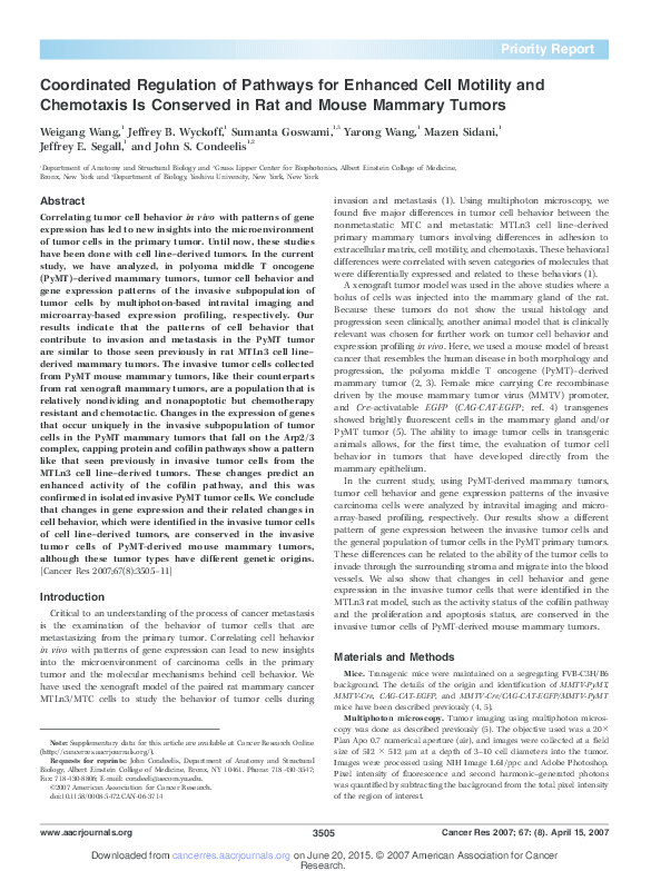 (PDF) Coordinated Regulation of Pathways for Enhanced Cell Motility and ...