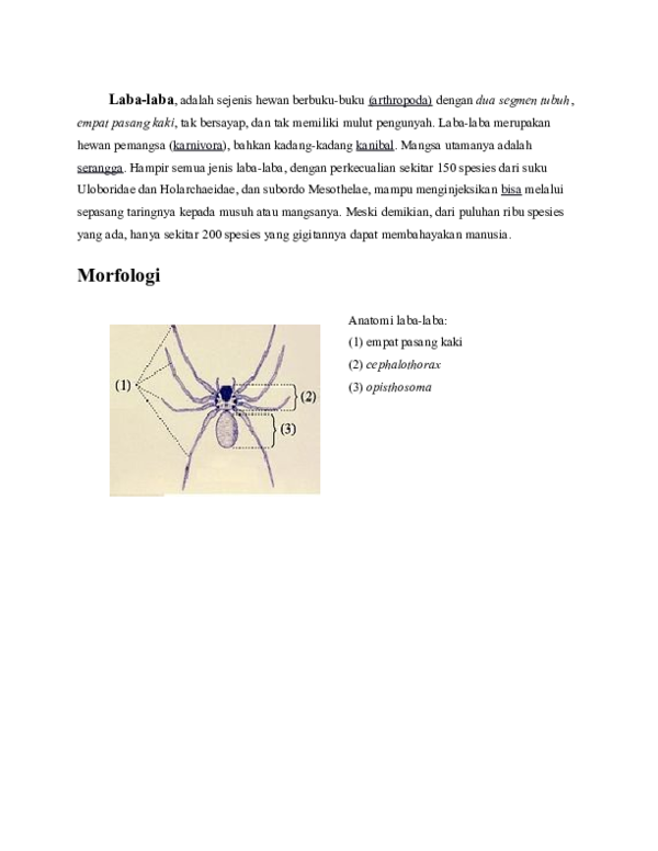 (DOC) Laba