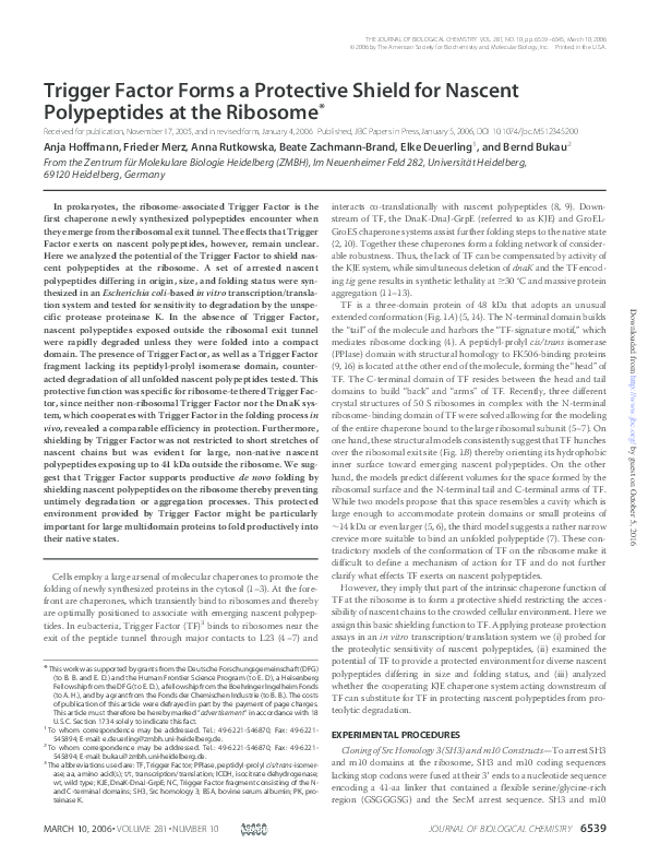 (PDF) Trigger Factor forms a protective shield for nascent polypeptides ...