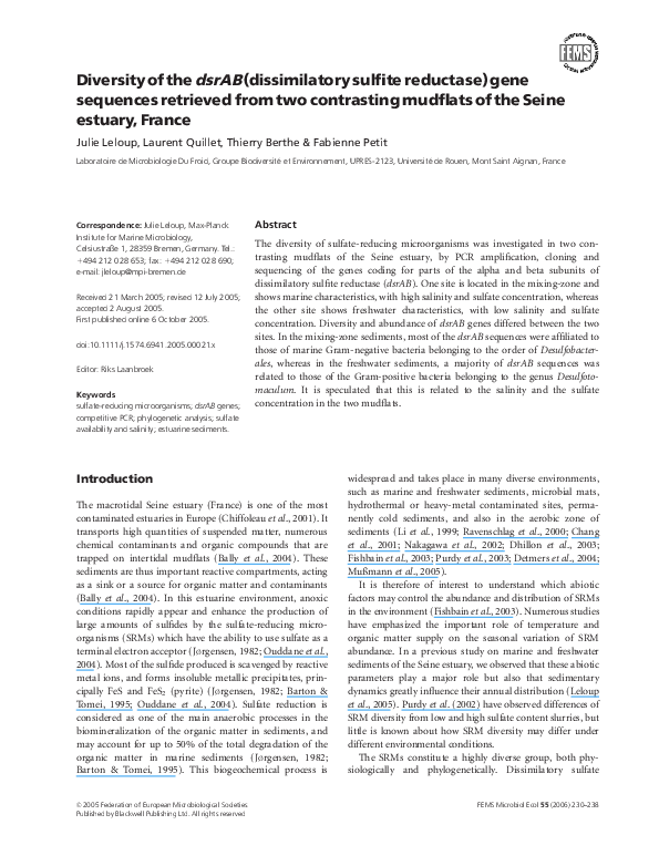 (PDF) Diversity of the dsrAB (dissimilatory sulfite reductase) gene ...