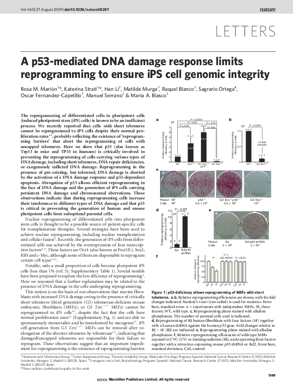 (PDF) A p53-mediated DNA damage response limits reprogramming to ensure ...