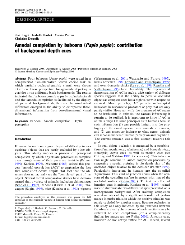 (PDF) Amodal completion by baboons ( Papio papio ): contribution of ...