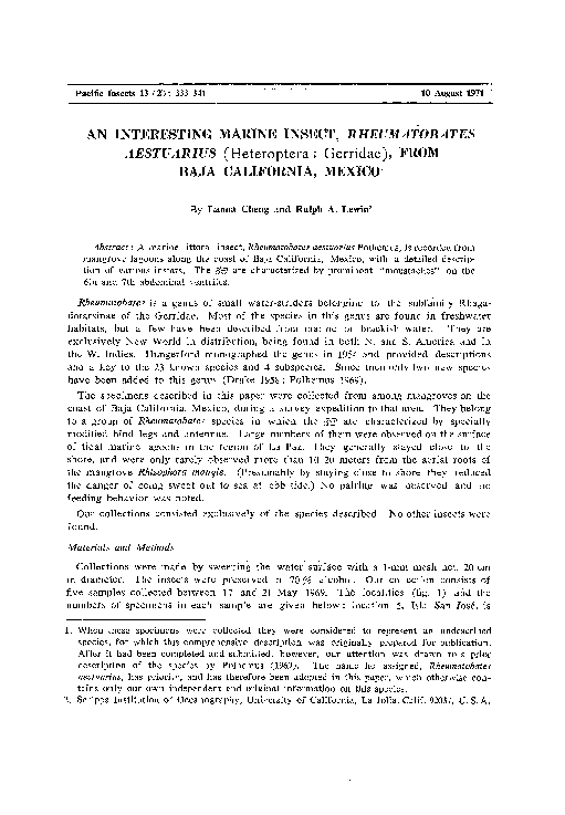 (PDF) AN INTERESTING MARINE INSECT, RHEUMATOBATES AESTUARIUS ...