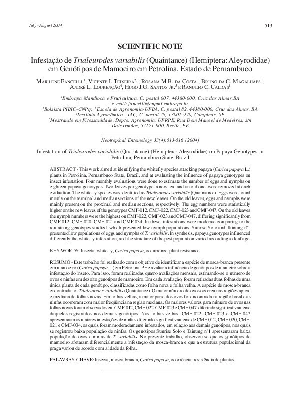 (PDF) Infestação de Trialeurodes variabilis (Quaintance) (Hemiptera ...