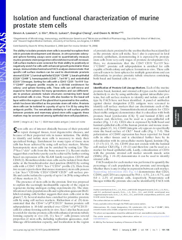 (PDF) Isolation and functional characterization of a new myotoxic ...