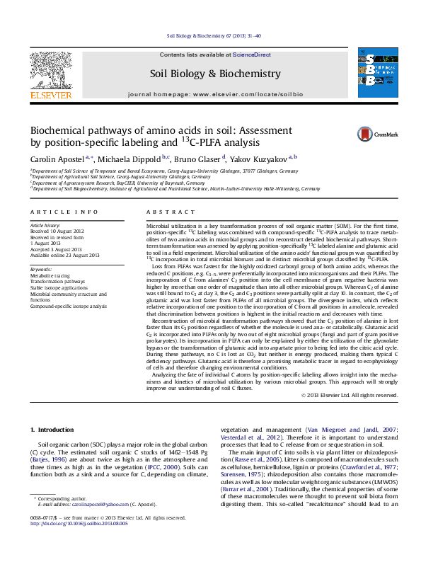 (PDF) Biochemical pathways of amino acids in soil: Assessment by ...