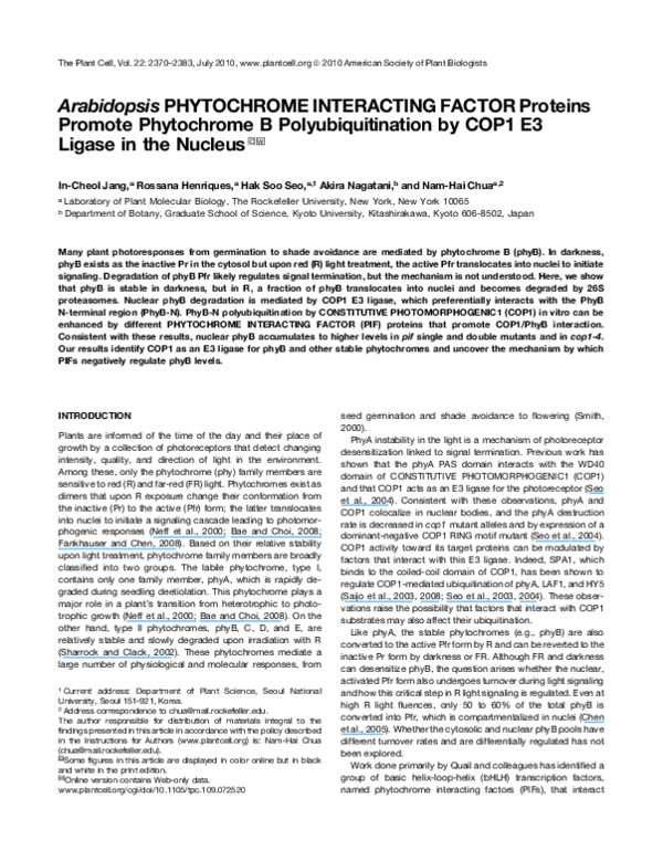 (PDF) Arabidopsis PHYTOCHROME INTERACTING FACTOR Proteins Promote Phytochrome B ...