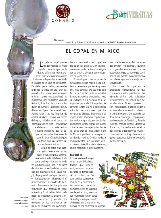 (PDF) El copal