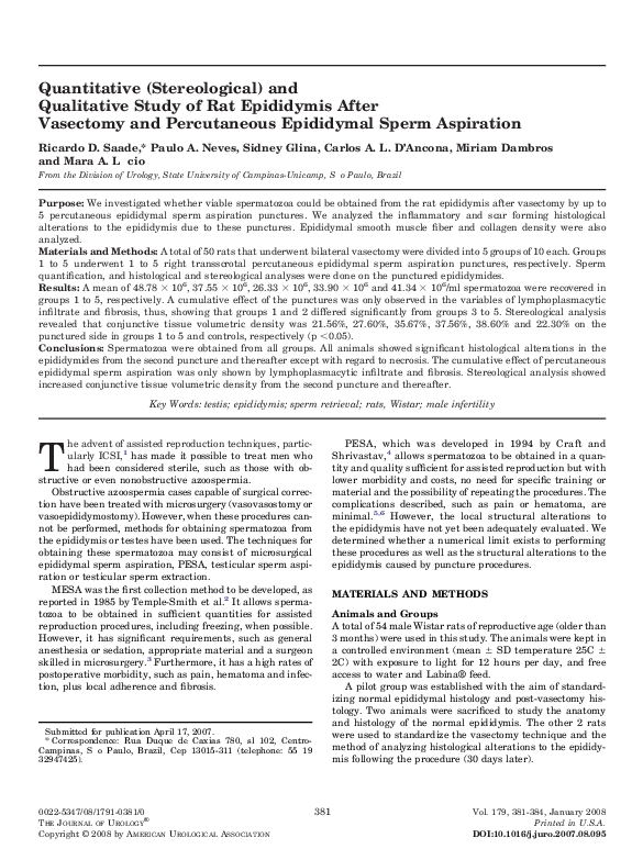 (PDF) Quantitative (Stereological) and Qualitative Study of Rat ...