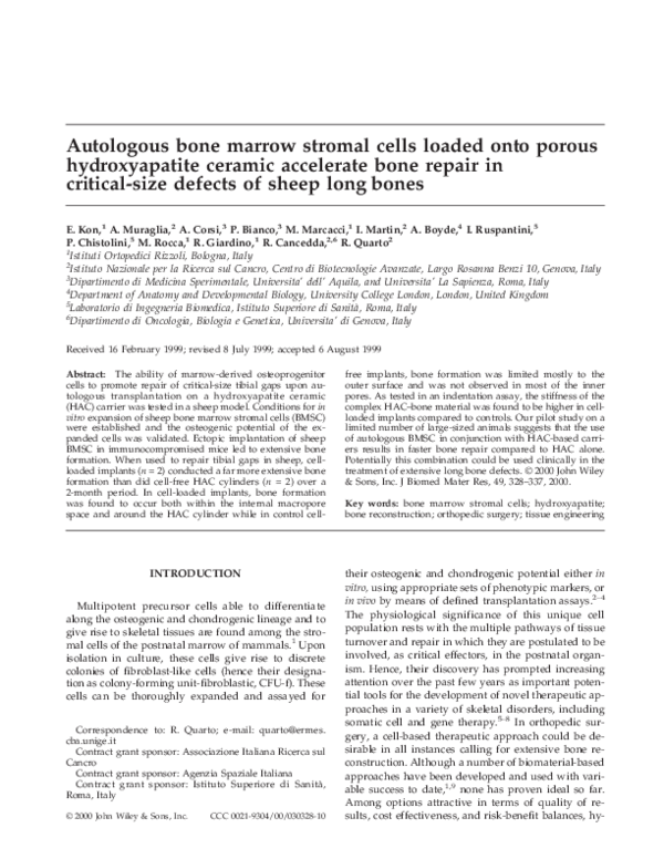 (PDF) Autologous bone marrow stromal cells loaded onto porous ...