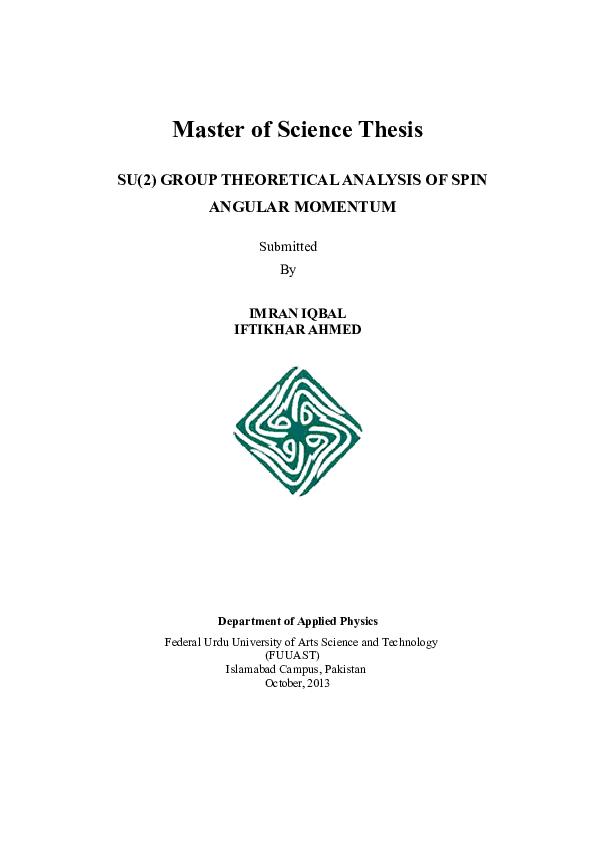 (DOC) SU(2) GROUP and THEORETICAL ANALYSIS OF SPIN ANGULAR MOMENTUM