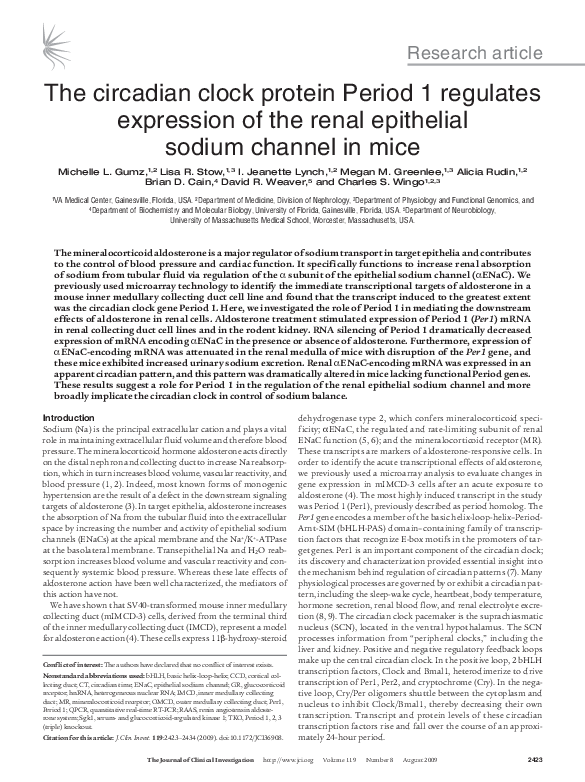 (PDF) The circadian clock protein Period 1 regulates expression of the ...