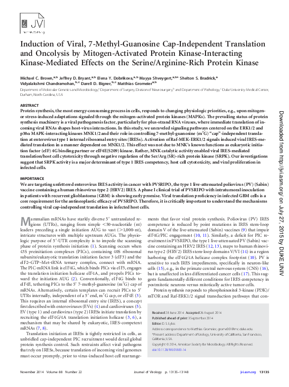 (PDF) Induction of viral, 7-methyl-guanosine cap-independent ...