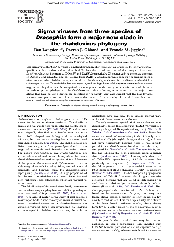 (PDF) Sigma viruses from three species of Drosophila form a major new ...