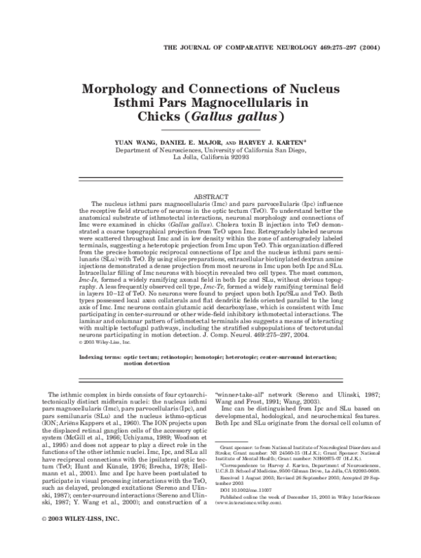 (PDF) Morphology and connections of nucleus isthmi pars magnocellularis ...
