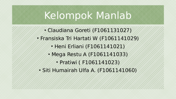 (PPT) PPT MANLAB