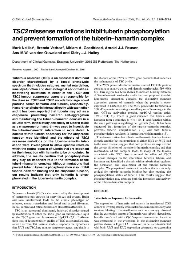 (PDF) TSC2 missense mutations inhibit tuberin phosphorylation and ...