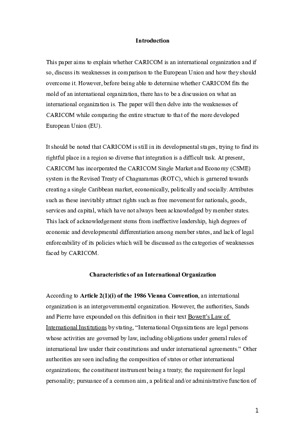 (DOC) International Organization paper