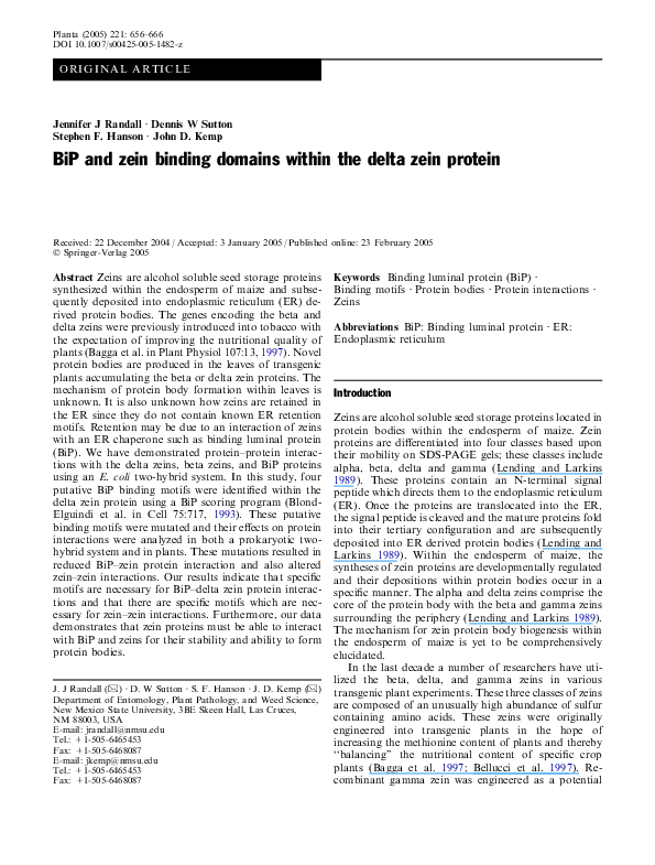 (PDF) BiP and zein binding domains within the delta zein protein