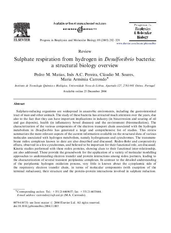 (PDF) Sulphate respiration from hydrogen in Desulfovibrio bacteria: a ...