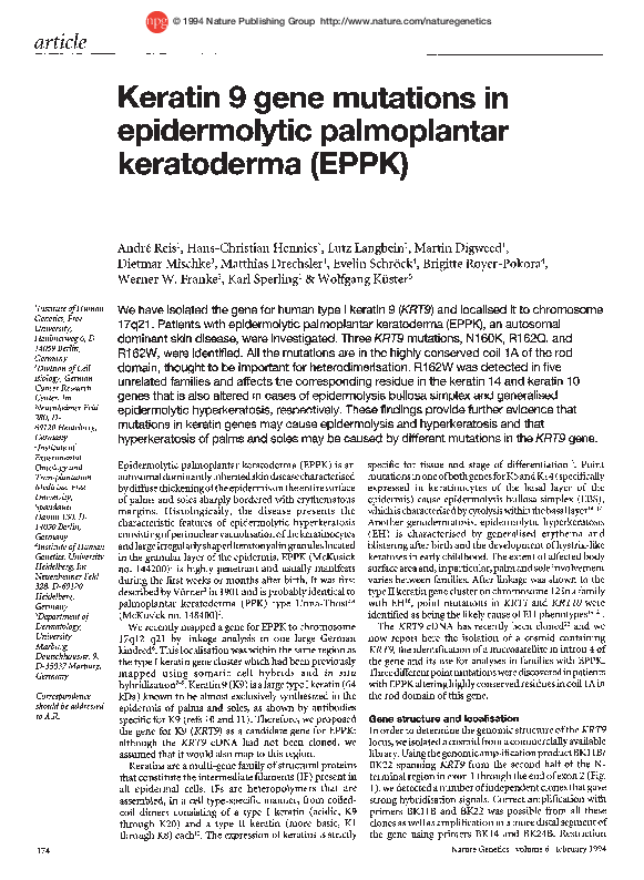 Pdf Keratin 9 Gene Mutations In Epidermolytic Palmoplantar Keratoderma Eppk