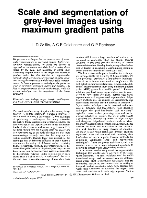 (PDF) Scale and segmentation of grey-level images using maximum ...