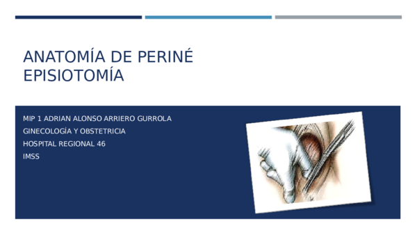 (PPT) Anatomía de periné