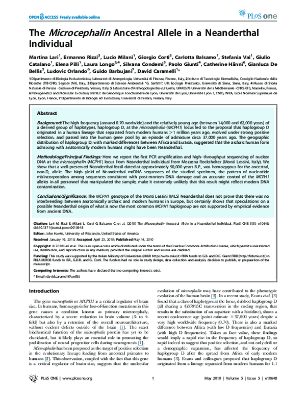 (PDF) The Microcephalin Ancestral Allele in a Neanderthal Individual