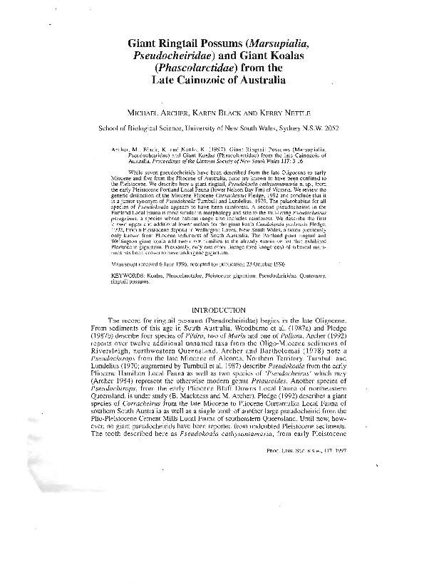 (PDF) Nimiokoala Gen. Nov. (Marsupialia, Phascolarctidae) from ...