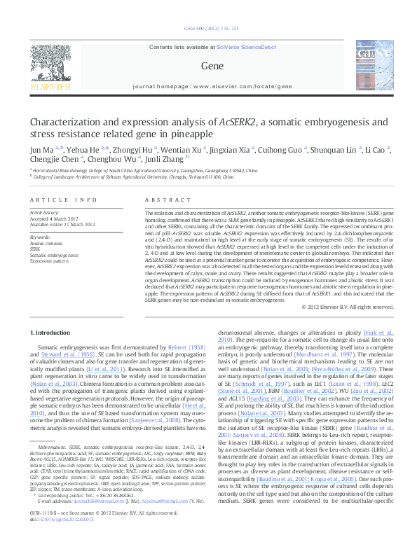 (PDF) Characterization of an AGAMOUS-like MADS Box Protein, a Probable ...