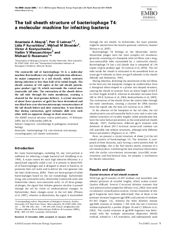 (PDF) The tail sheath structure of bacteriophage T4: a molecular ...
