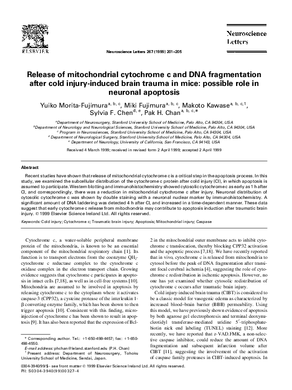 (PDF) Release of mitochondrial cytochrome c and DNA fragmentation after ...