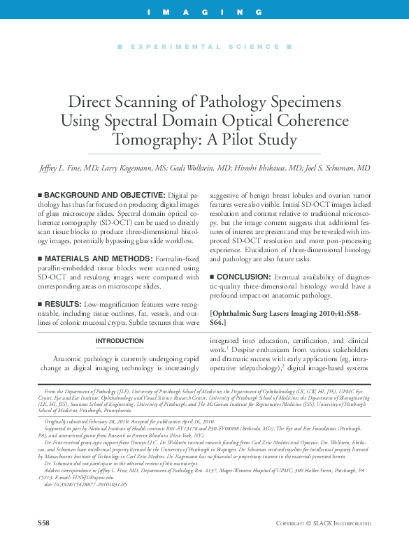 (PDF) Direct scanning of pathology specimens using spectral domain optical coherence tomography ...