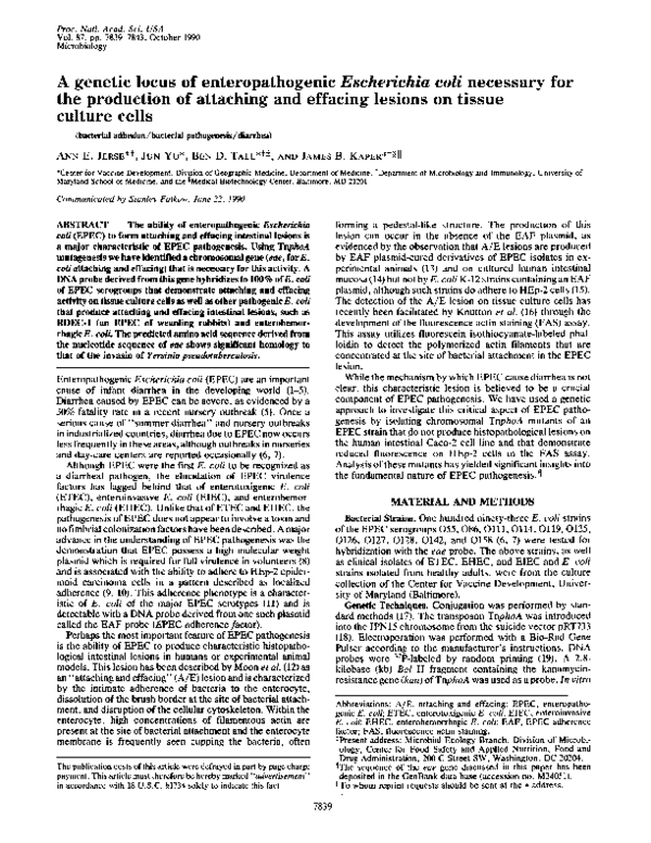 (PDF) A genetic locus of enteropathogenic Escherichia coli necessary ...