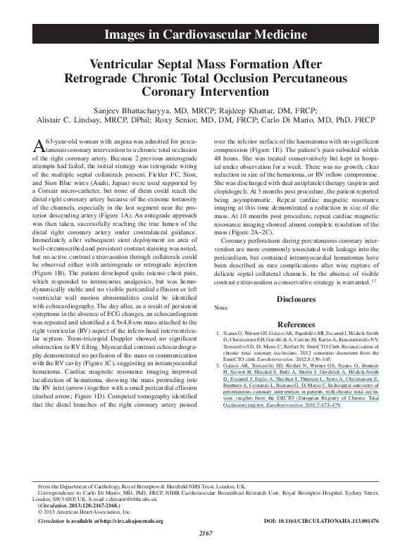 (PDF) Ventricular septal mass formation after retrograde chronic total ...
