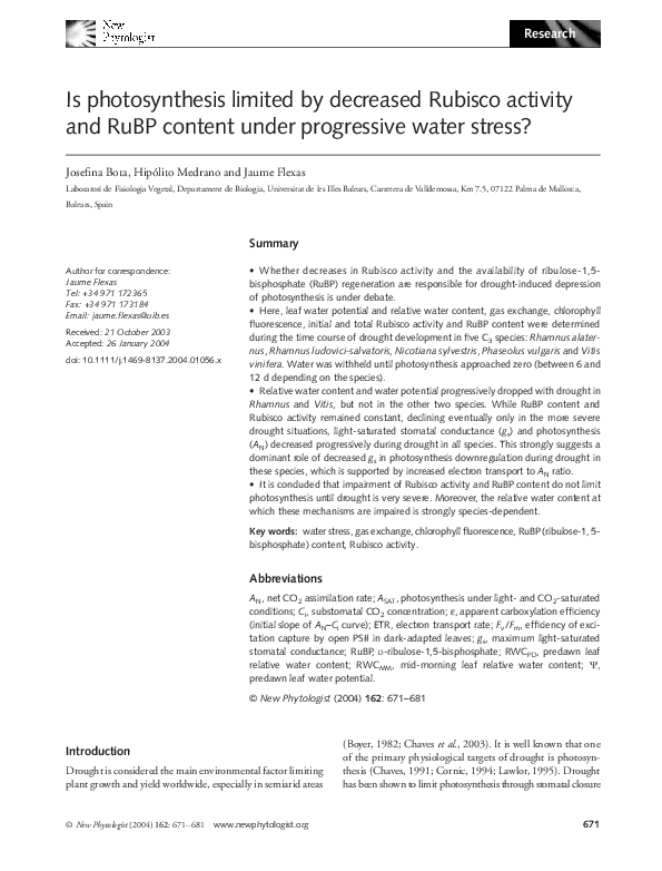(PDF) Is photosynthesis limited by decreased Rubisco activity and RuBP ...
