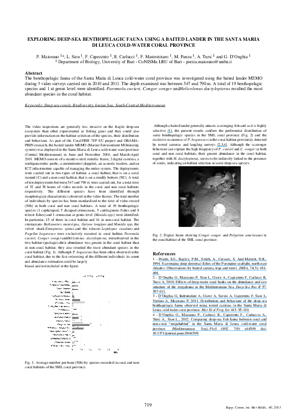 (PDF) Exploring deep-sea benthopelagic fauna using a baited lander in ...