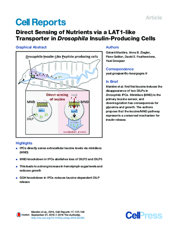 (PDF) Direct Sensing of Nutrients via a LAT1-like Transporter in ...