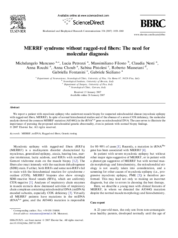 (PDF) MERRF syndrome without ragged-red fibers: The need for molecular ...