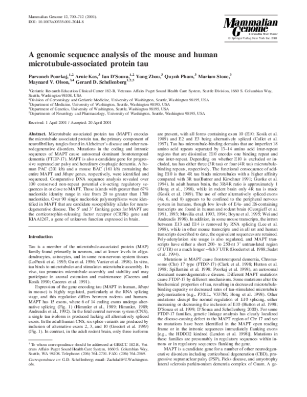 (PDF) A genomic sequence analysis of the mouse and human microtubule-associated protein tau