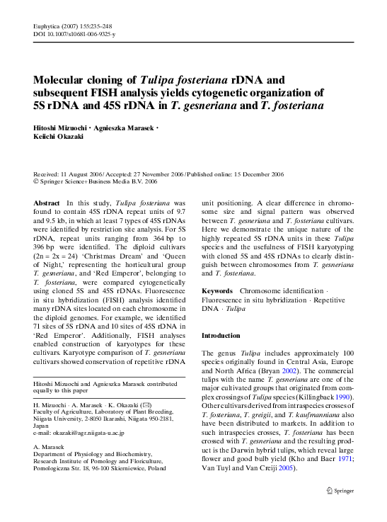 (PDF) Cloning and FISH Analysis of Tulipa rDNA