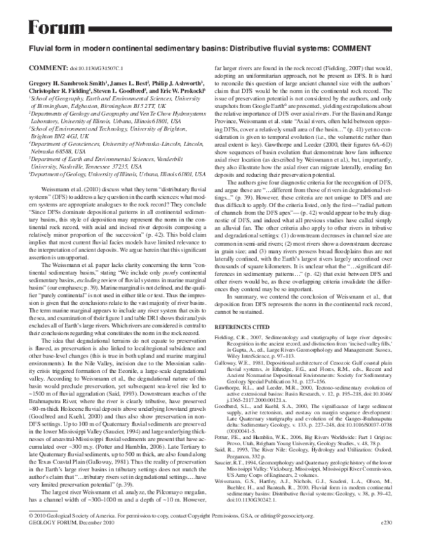 (PDF) Fluvial form in modern continental sedimentary basins ...