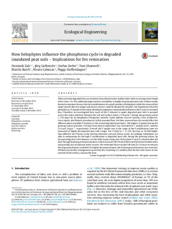 (PDF) How helophytes influence the phosphorus cycle in degraded ...