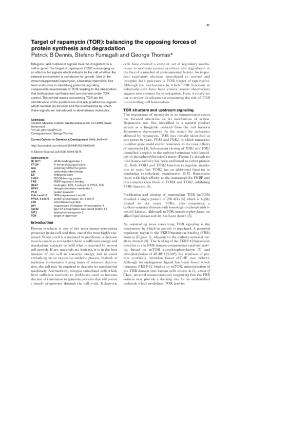 (PDF) Target of rapamycin (TOR): balancing the opposing forces of ...