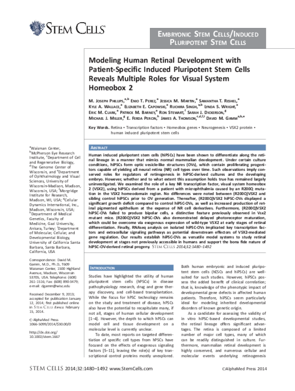 (PDF) Modeling Human Retinal Development with Patient-Specific Induced ...
