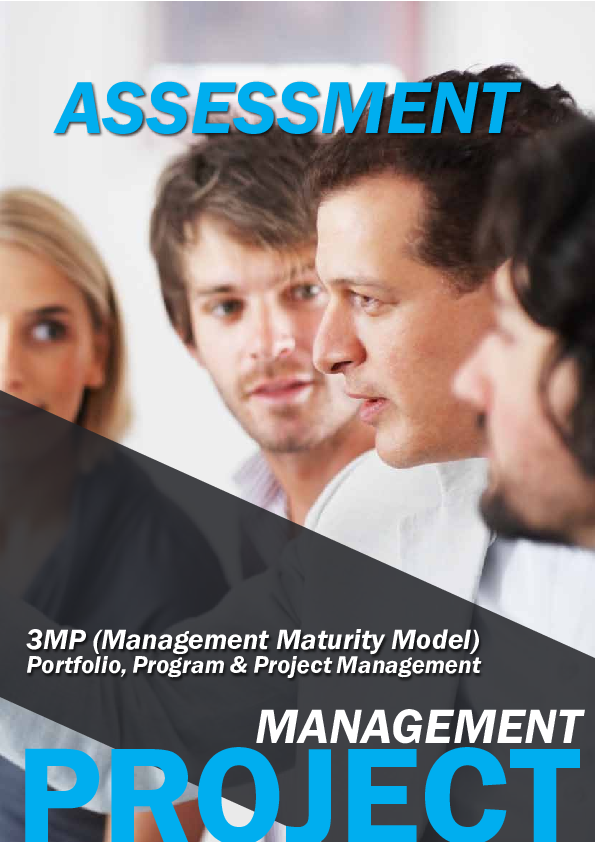 (PDF) ASSESSMENT 3MP (Management Maturity Model) Portfolio, Program ...